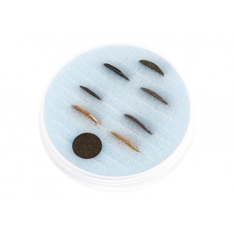 COINPAD KAPAAN | OFERTA AQUÍ!